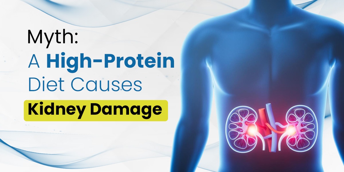 Myth: A High-Protein Diet Causes Kidney Damage